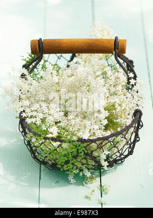 In spring, flowers on fruit trees bloom from the buds Stock Photo - Alamy