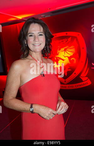 Football Association of Wales Awards Dinner 2014, St David's Hotel ...