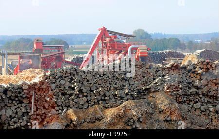 Outside view of German Pellets in Ettenheim, southern Germany, on Oct ...