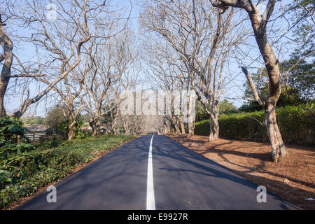 Asphalt road with single solid white line road marking Stock Photo - Alamy