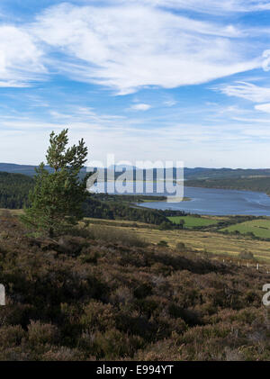 dh Struie hill STRUIE EASTER ROSS CROMARTY View of Dornoch Firth from ...