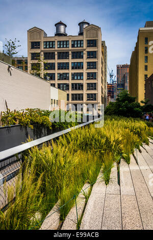 Grasses and walkway at The High Line, Manhattan, New York Stock Photo ...