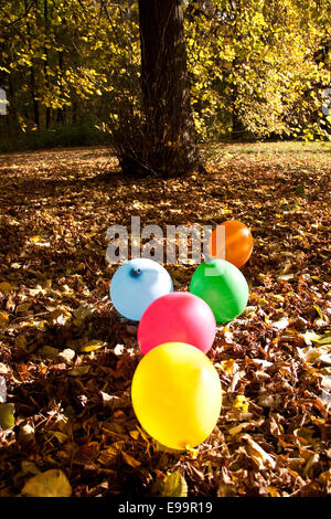 Colorful balloons lying in autumn leaves Stock Photo - Alamy