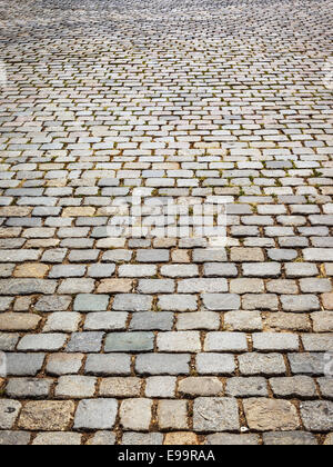 wet street tile cobble stone close up perspective pedestrian road view ...
