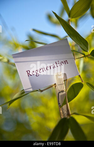 The word Regeneration on paper in nature Stock Photo - Alamy
