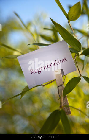 The word Regeneration on paper in nature Stock Photo - Alamy