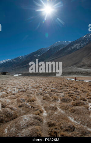 Winter landscape on Changthang, Ladakh Stock Photo - Alamy