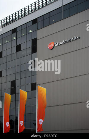 GSK logo, GlaxoSmithKline logo, Dresden, Germany Stock Photo - Alamy