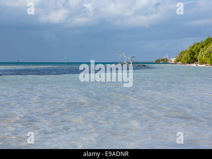 Florida Keys Anne's Beach Stock Photo - Alamy