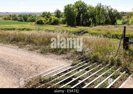 Cattle Guard, Ranch Road Gate, South Dakota, USA Stock Photo - Alamy
