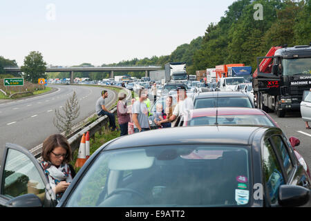 People Waiting By their Cars On The Motorway Whilst in Traffic Jam On ...