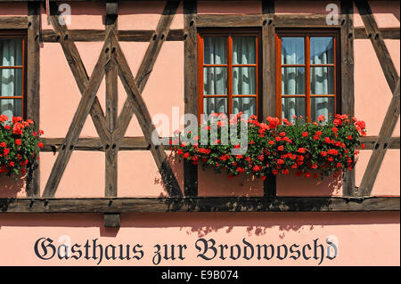 german window boxes, geraniums Stock Photo - Alamy