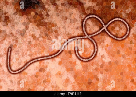 Graphic representation of the Ebola virus on green background Stock ...