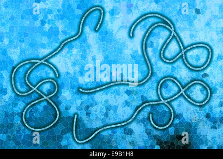 Graphic representation of the Ebola virus on orange background Stock ...