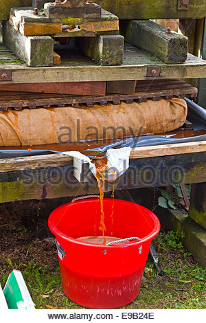 Traditional apple cider making Stock Photo: 76916828 - Alamy