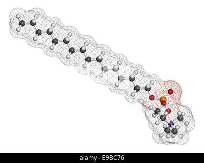 Miltefosine leishmaniasis drug molecule. Atoms are represented as ...