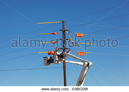 Lineman working on power lines in Saigon, Vietnam Stock Photo - Alamy