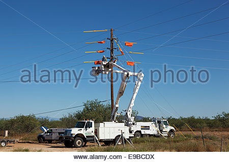 Electrical Lineman working on power lines on poles with safety Stock ...