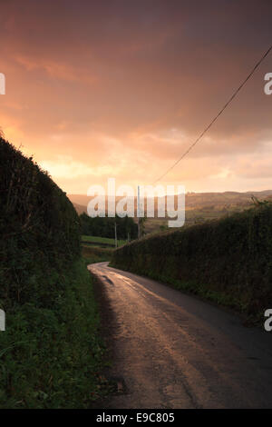 Welsh landscape with meadows and hedges Stock Photo - Alamy