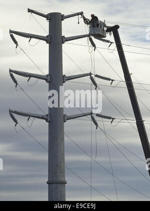 Goshen, New York, USA. 24th Oct, 2014. Employees of Northline Utilities ...