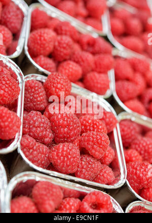 Red juicy raspberries in a shopping basket on a menthol background ...