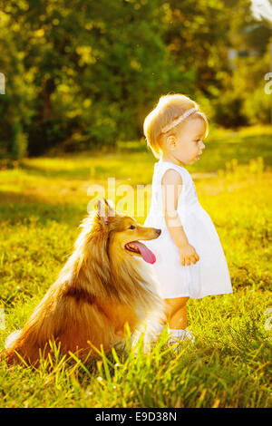 Cute little girl with a dog Sheltie breed. Best friends forever. Dog ...