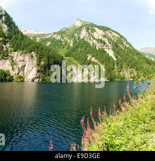 Vallemaggia, Ticino, Switzerland: Dam of elder, diga del sambuco Stock ...