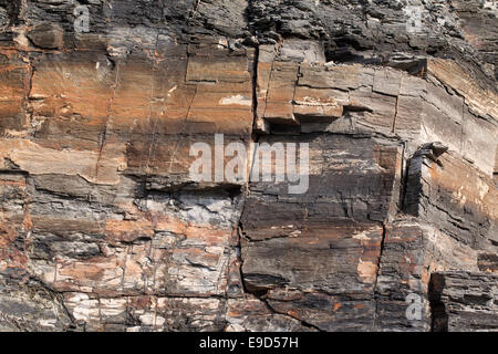 Close up of the cliff at Kimmeridge Bay, Dorset, UK, showing the layers ...