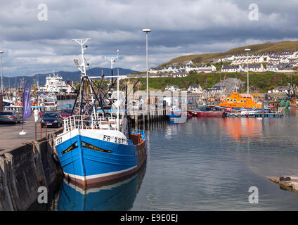 The Marina at Mallaig harbour, Highland region, Scotland, UK Stock ...