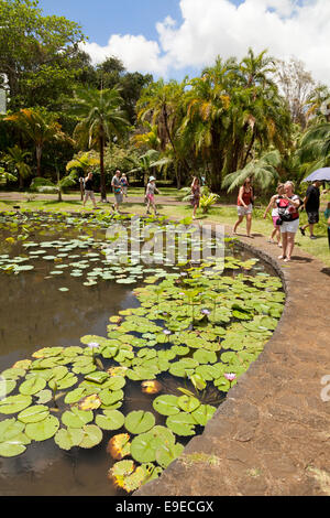 Botanical Gardens Mauritius Stock Photo - Alamy