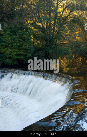 Cheshire Stockport Compstall Etherow Country Park Stock Photo - Alamy