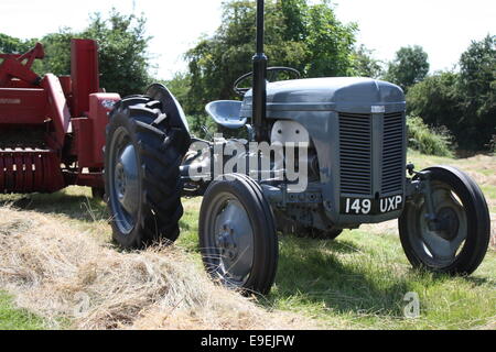 Ferguson TE20 'Little Grey Fergie' tractor snow covered grazing marsh ...