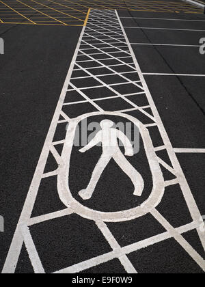 Painted signs on asphalt for pedestrian and bicycle lanes, Summer Stock ...
