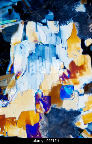microcrystals of natriumcyclamat in polarized light Stock Photo - Alamy