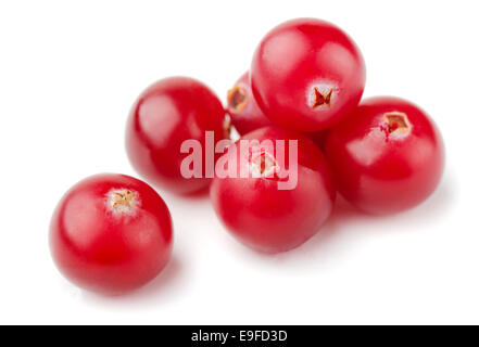 Horizontal background of fresh shiny cranberries Stock Photo - Alamy