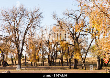 Camping in late October in Colorado Stock Photo - Alamy