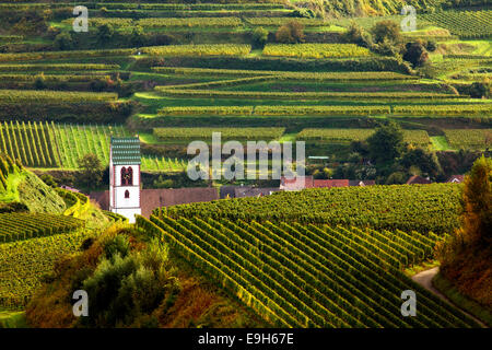 Vogtsburg Oberbergen im Kaiserstuhl Stock Photo - Alamy