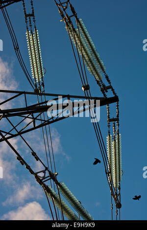 Power lines glass insulators on electricity pylons Stock Photo - Alamy