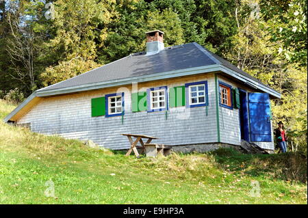 Hut of the german philosopher Martin Heidegger in Todtnauberg (Black ...
