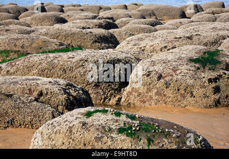 A view of carstone rocks and boulders on the beach at Hunstanton ...