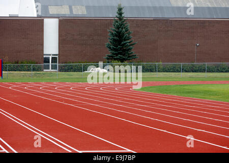 7 lanes of 8 lane running track running track and field all weather ...