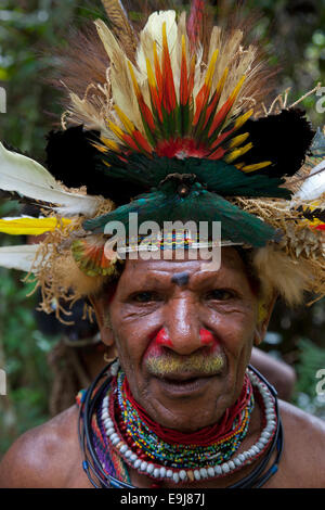 PAPUA NEW GUINEA, Huli Wigman Tribe,. Southern Highlands, near Tari ...