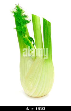 fennel vegetable on white isolated background Stock Photo - Alamy