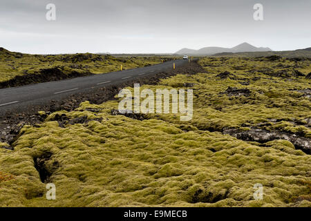 Road through a lava field overgrown with moss, Reykjanes Peninsula ...