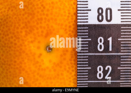 Mandarin with tape measure Stock Photo - Alamy