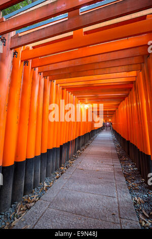 Torri Gates Kyoto Stock Photo - Alamy