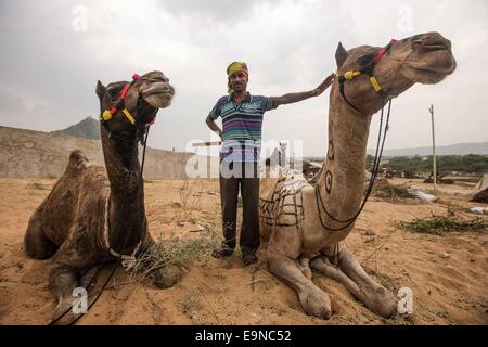 A camel man on his camel poses in front of the Pyramid of Khafre, the ...