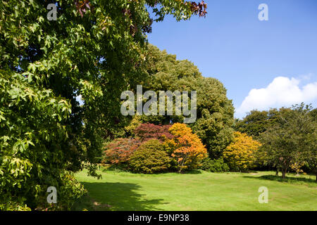 Autumn at Batsford Park Arboretum in the Cotswold village of Batsford ...