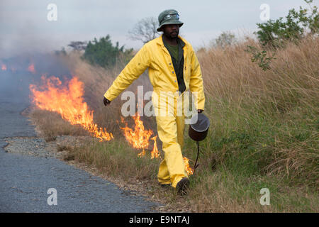 Controlled burning to create firebreak in front of wild fire, iMfolozi ...