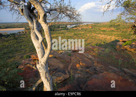 Mapungubwe National Park, view of Limpopo and Shashi river confluence ...